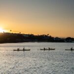 Auckland City Lights Night Kayaking Tour - Who Will Love This Tour?