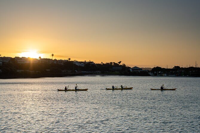 Auckland City Lights Night Kayaking Tour - Who Will Love This Tour?