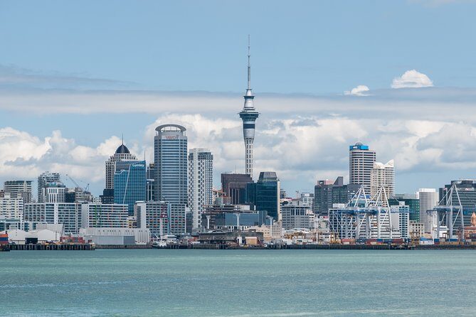 Auckland City & Native Forest Experience - Fully Guided Day Tour - Why This Tour Works: A Deep Dive into Itinerary Highlights