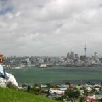 Auckland City Of Sails Half Day Private Tour - The Journey in Detail