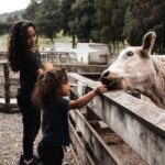 Auckland: City Sights & Sheep Shearing with Lunch - Detailed Breakdown of the Itinerary