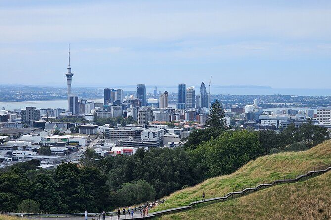 Auckland City Small Group Private Tour - What Travelers Can Expect