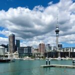 Auckland City Top Sights Half Day Tour - Small Group - Practical Details and What They Mean for You