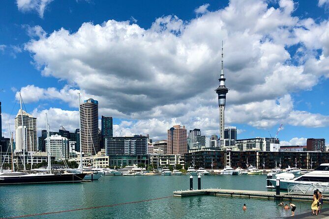 Auckland City Top Sights Half Day Tour - Small Group - Practical Details and What They Mean for You