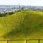 Auckland City Tour  Fast, Fun & Full of Views! (Half-Day) - Who Should Book This Tour?