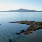 Auckland: City Tour with Wine Tasting and Black Sand Beach - The Sum Up: Who Will Love This Tour?