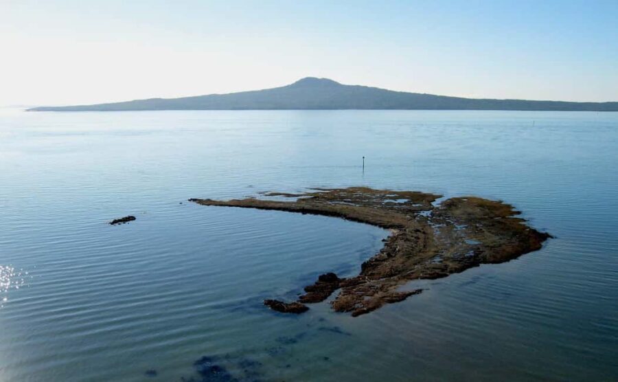 Auckland: City Tour with Wine Tasting and Black Sand Beach - The Sum Up: Who Will Love This Tour?