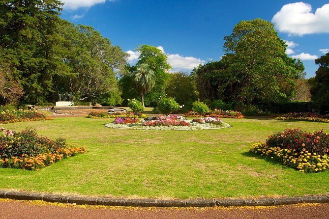 Auckland Coastal Experience - Small Group City & Beach Tour Incl. Wine Tasting - The Value of This Tour