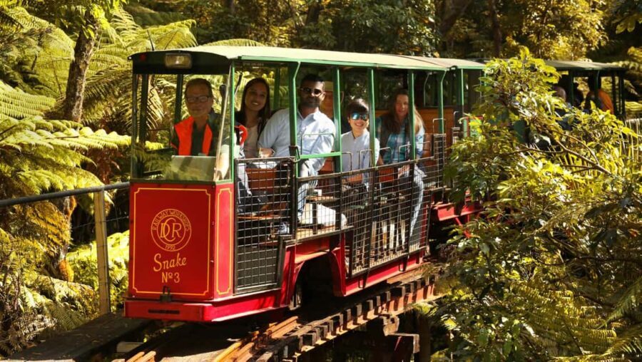 Auckland: COROMANDEL Driving Creek & CATHEDRAL COVE day tour - What’s Included and What’s Not
