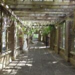 Auckland: Full-Day City Highlights Tour - Why This Tour Works