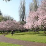 Auckland: Full-Day City Tour - Final Thoughts: Is This Tour Right for You?