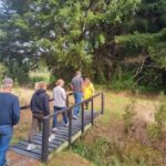 Auckland: Full-Day Jade Carving, Honey Tasting & Wine Tour - The Itinerary: Step-by-Step Breakdown