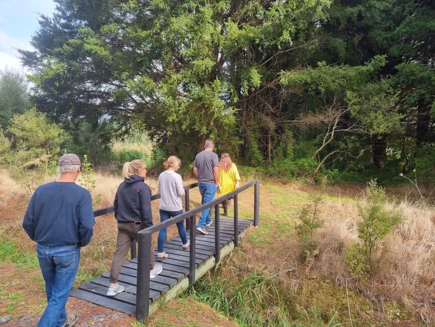 Auckland: Full-Day Jade Carving, Honey Tasting & Wine Tour - The Itinerary: Step-by-Step Breakdown