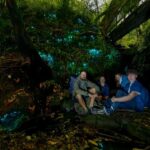 Auckland Glowworm Tour - The Itinerary and Experience in Detail