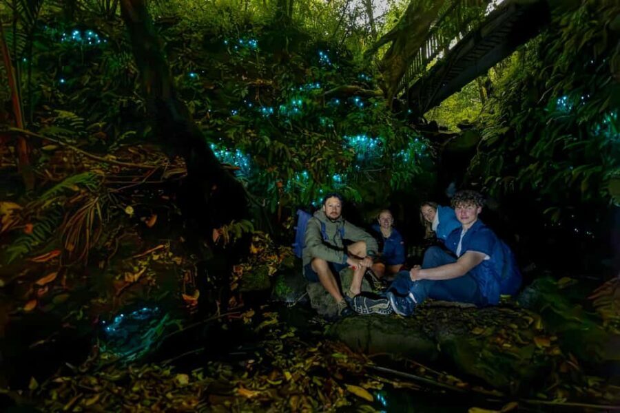 Auckland Glowworm Tour - The Itinerary and Experience in Detail