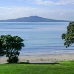 Auckland: Guided Small Group City Discovery Tour - What Makes This Tour Stand Out?