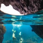 Auckland: Guided Snorkeling and Island Exploration Tours - The Snorkeling Experience