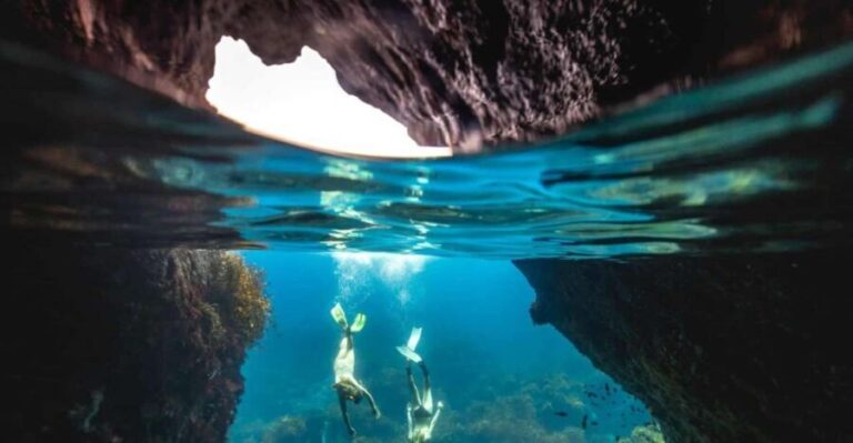 Auckland: Guided Snorkeling and Island Exploration Tours - The Snorkeling Experience