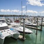 Auckland Half Day Attractions and Museums Tour - The Itinerary in Detail: What Can You Expect?