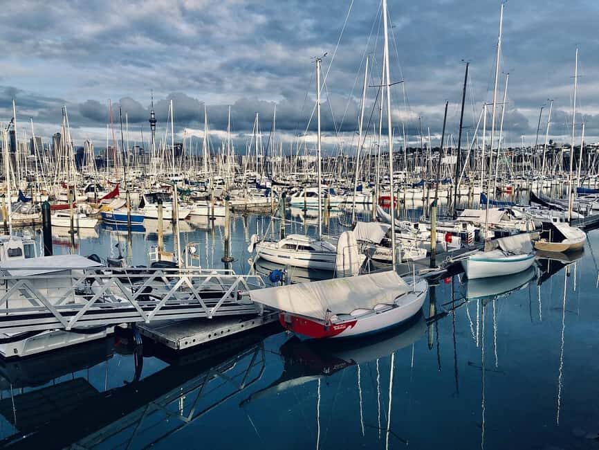 Auckland Half Day Attractions and Museums Tour - What Travelers Can Expect