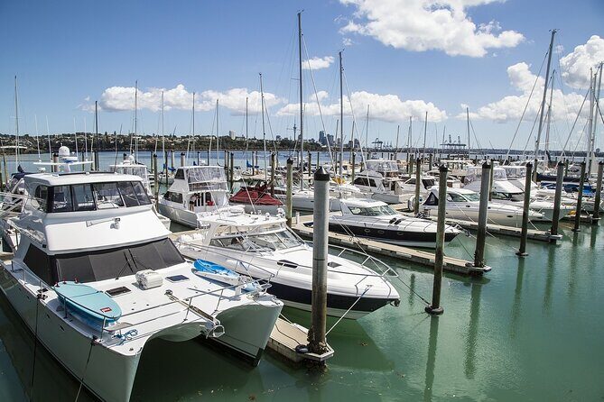 Auckland Half Day Attractions and Museums Tour - The Itinerary in Detail: What Can You Expect?