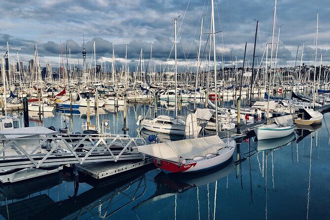 Auckland Half Day City Tour - Heart of Auckland - Stop 3: Cornwall Park and One Tree Hill