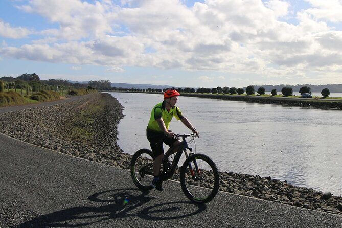 Auckland Half Day E-Bike Excursion - Who Will Love This Tour?