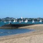 Auckland: Half-Day Private City Highlights Tour - A Practical and Personal Look at This Auckland Tour