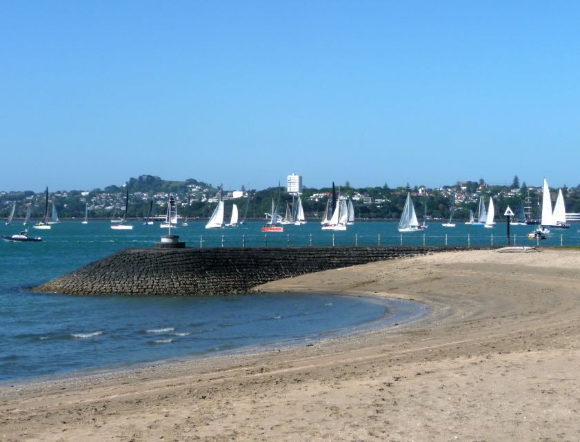 Auckland: Half-Day Private City Highlights Tour - A Practical and Personal Look at This Auckland Tour