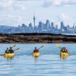 Auckland: Half-Day Sea Kayak Tour to Motukorea Island - Who Should Consider This Tour?