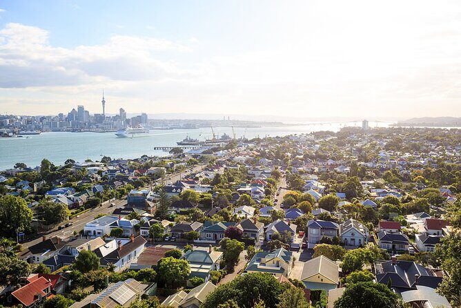 Auckland Half Day Tour - See the Most Famous Attractions - The Experience in Detail: What You Can Expect