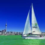 Auckland Harbour 1.5-Hour Sailing Cruise - Navigation, Group Size, and Practicalities