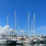 Auckland Harbour And Muriwai Black Sand Beach Private Tour - What’s Included and What to Expect