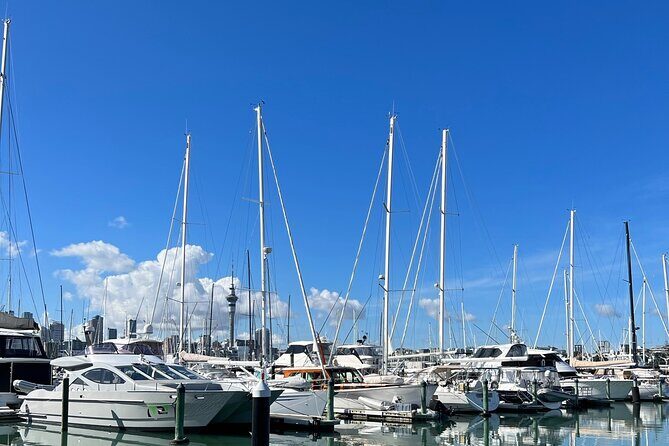 Auckland Harbour And Muriwai Black Sand Beach Private Tour - What’s Included and What to Expect
