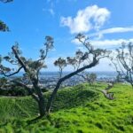 Auckland Hidden Gem Half Day Tour - Who Should Consider This Tour?