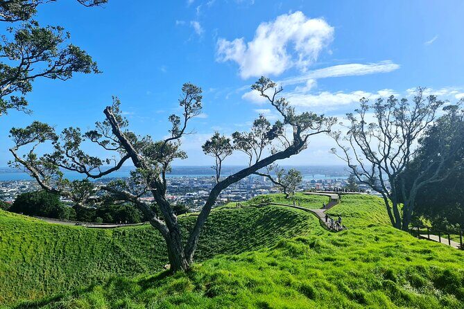 Auckland Hidden Gem Half Day Tour - Who Should Consider This Tour?