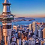 Auckland Highlight Fullday City Tour - Final Thoughts: Is This Tour Right for You?