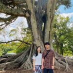Auckland Highlights 4 Hrs city Tour - What the Tour Includes — and What It Doesn’t