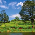 Auckland: Hobbiton Movie Set Day Trip with Festive Lunch - What the Reviews Say — Authentic Feedback from Fellow Travelers