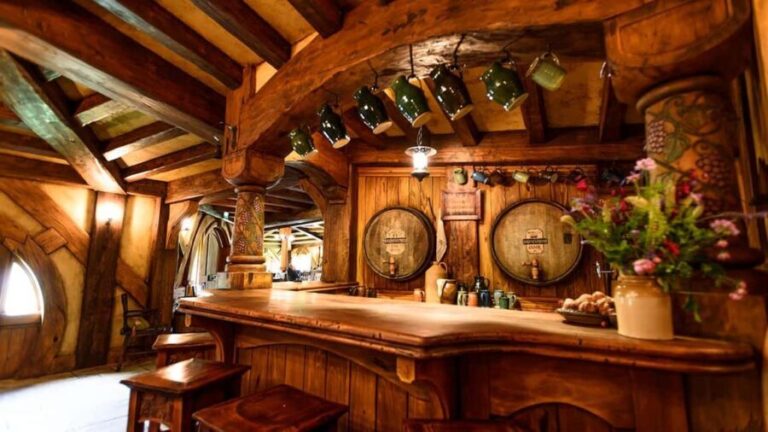 Auckland: Hobbiton, Waitomo Caves, and Rotorua 1-Way Tour - Who Is This Tour Best For?