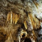 Auckland: Hobbiton & Waitomo Caves Small-Group Tour & Lunch - Scenic Stop at Lake Karapiro