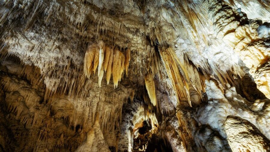 Auckland: Hobbiton & Waitomo Caves Small-Group Tour & Lunch - Scenic Stop at Lake Karapiro