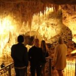 Auckland: Hobbiton & Waitomo Glow Worm Caves Private Tour - FAQ