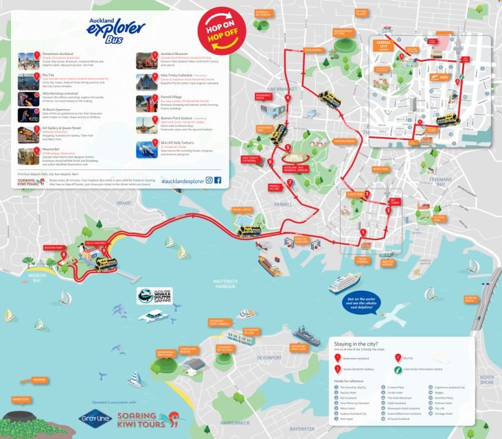 Auckland: Hop-On Hop-Off Explorer Bus Ticket - The Sum Up