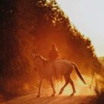 Auckland: Horseback Riding Through Vines with Wine & Dine - Why This Tour Stands Out