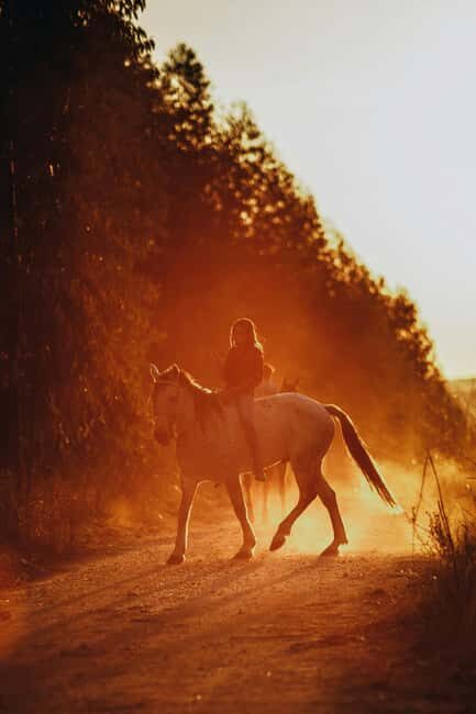 Auckland: Horseback Riding Through Vines with Wine & Dine - Why This Tour Stands Out