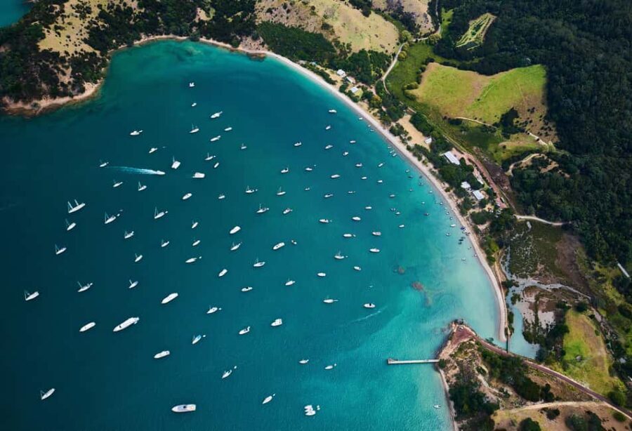 Auckland: Man O' War Vineyard Ferry (Waiheke Island) - Man O War Vineyard: A Cultivated Oasis with a View