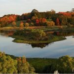 Auckland Nature Tour - The Sum Up: Why Choose This Auckland Nature Tour?