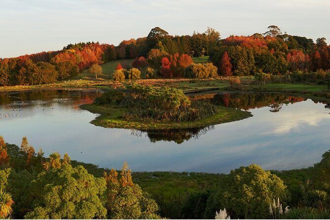 Auckland Nature Tour - The Sum Up: Why Choose This Auckland Nature Tour?