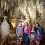 Auckland: One-Way Tour to Rotorua with Waitomo Caves - The Scenic Drive Through Waikato Countryside